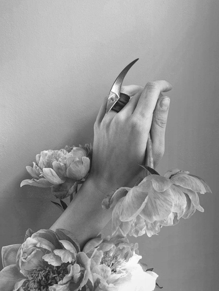 Silver Claw Ring – Anu Tera